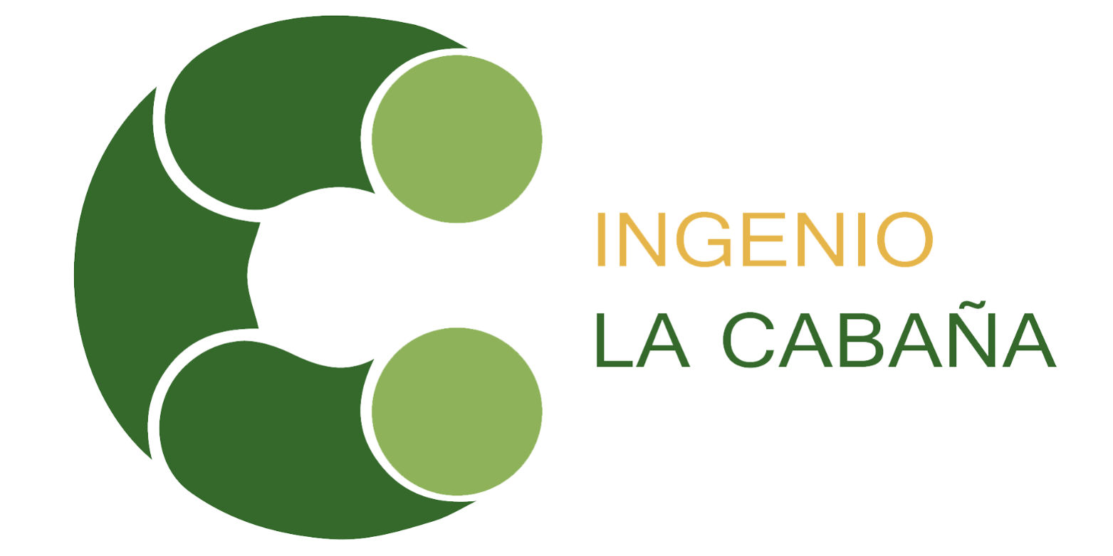 Nuestra Historia - Ingenio